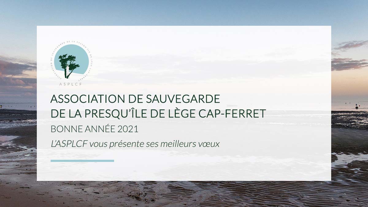 Nos meilleurs vœux pour 2021